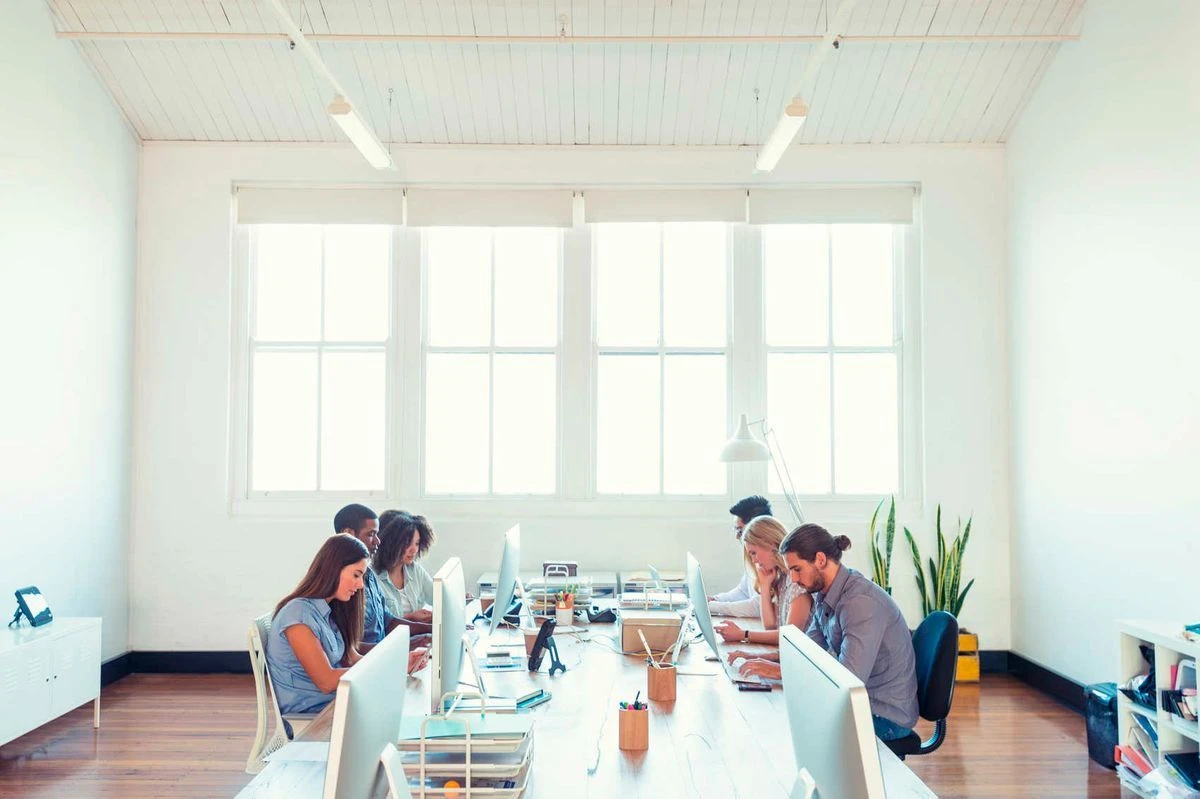 How to Create and Use Company Surveys to Gain Employee Insight
