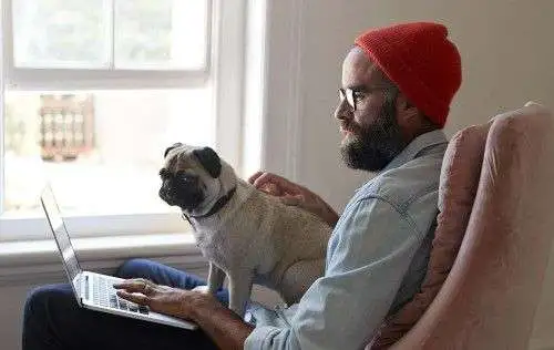 Role of a Chief Information Officer: What Does a CIO Do?