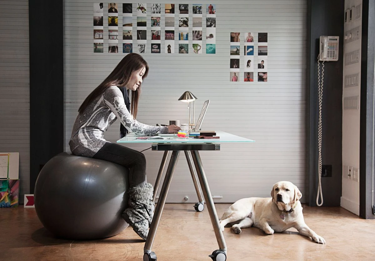 The pros and cons of letting your staff have dogs at work